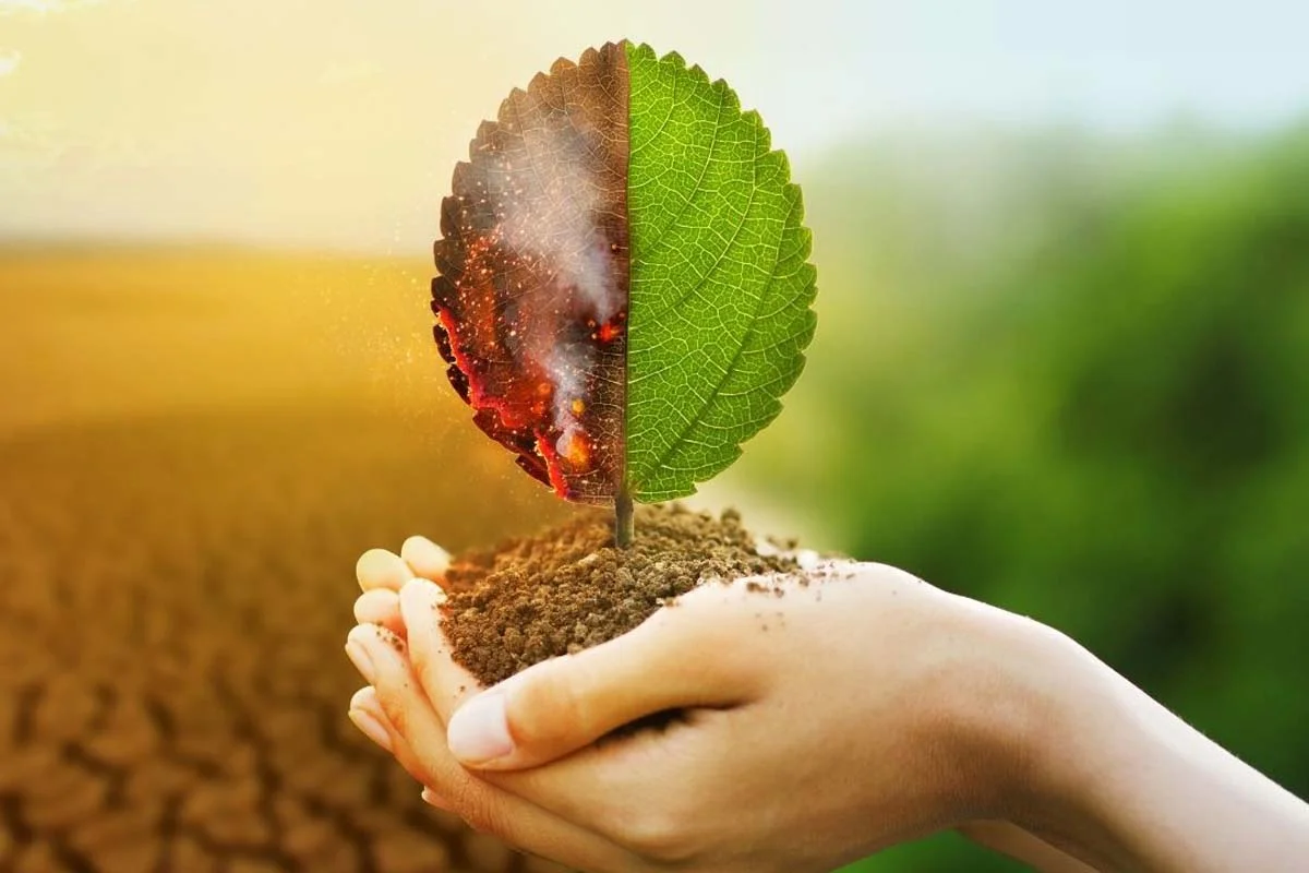 What Is An “EIA” and Why Is It Important? - Home In Phuket